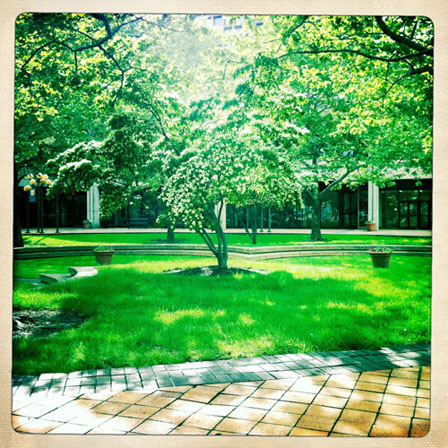 nicholas-rowan-2 - MacTrast