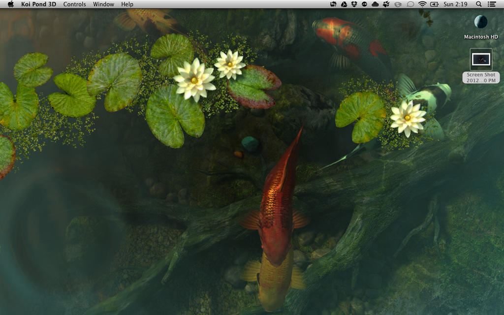 Review: Koi Pond 3D – A Tranquil Live Desktop For Mac – MacTrast